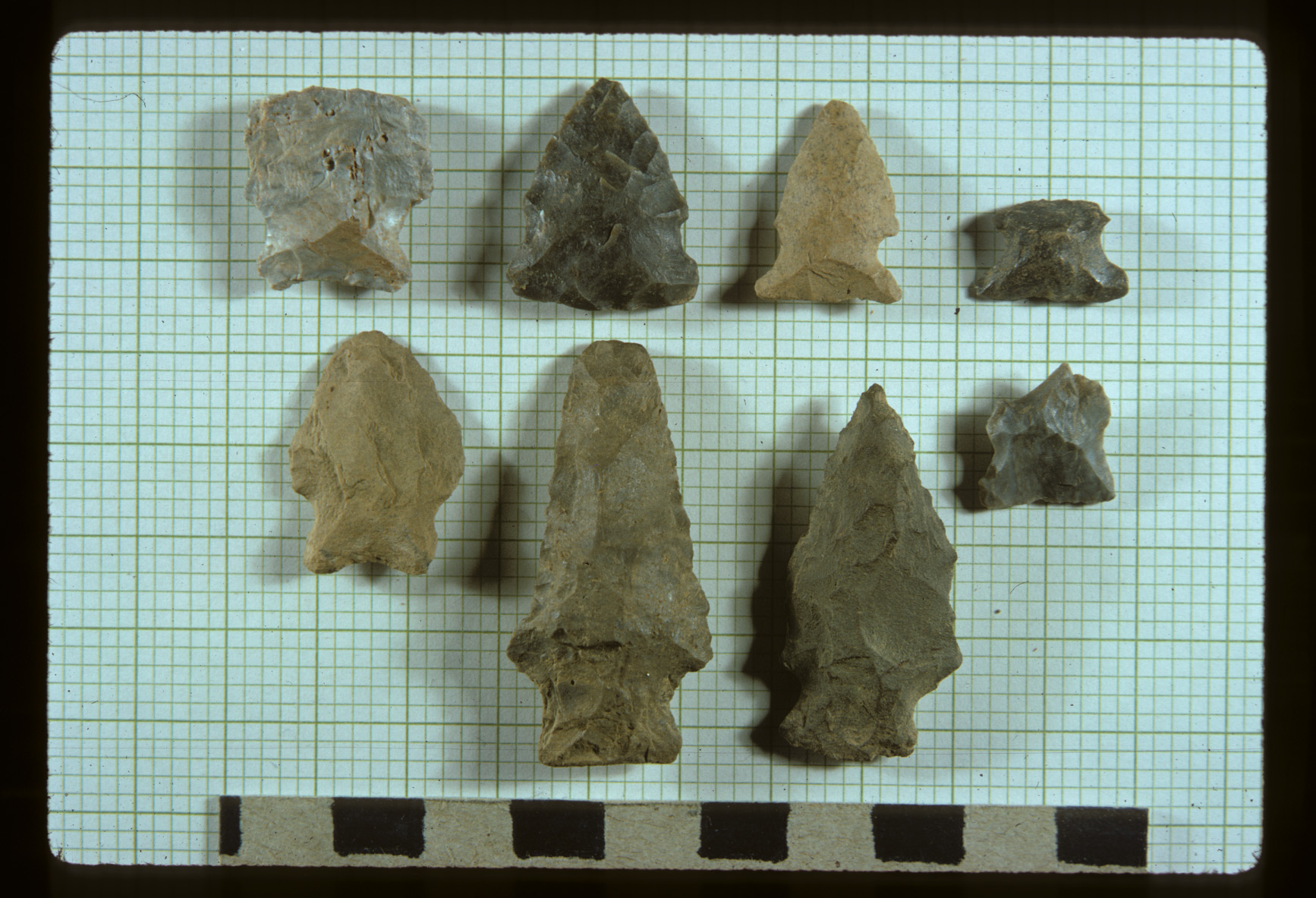 Archaeological Collections in Maryland, Detail