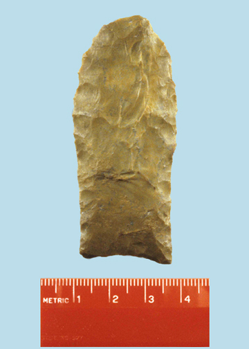 Diagnostic Artifacts in Maryland