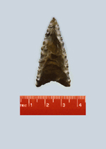 Diagnostic Artifacts in Maryland