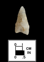 Diagnostic Artifacts in Maryland