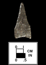 Diagnostic Artifacts in Maryland