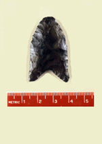 Diagnostic Artifacts in Maryland