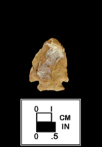 Diagnostic Artifacts in Maryland
