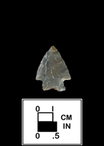 Diagnostic Artifacts in Maryland