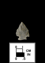 Diagnostic Artifacts in Maryland