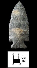 Diagnostic Artifacts in Maryland