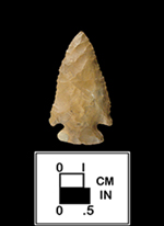 Diagnostic Artifacts in Maryland