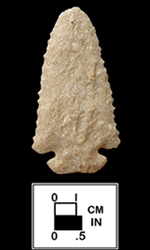 Diagnostic Artifacts in Maryland