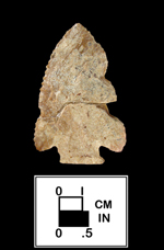 Diagnostic Artifacts in Maryland
