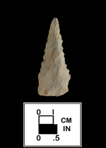 Diagnostic Artifacts in Maryland