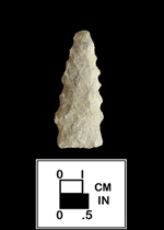 Diagnostic Artifacts in Maryland