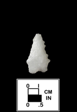 Diagnostic Artifacts in Maryland