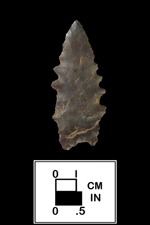 Diagnostic Artifacts in Maryland