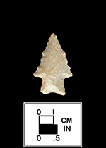 Diagnostic Artifacts in Maryland