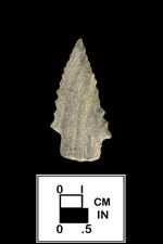 Diagnostic Artifacts in Maryland