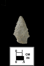 Diagnostic Artifacts in Maryland