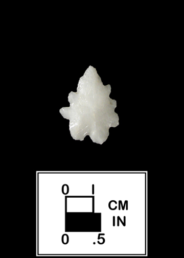 Diagnostic Artifacts in Maryland