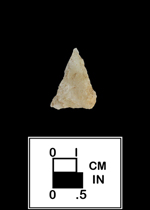 Diagnostic Artifacts in Maryland