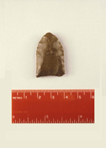 Diagnostic Artifacts in Maryland