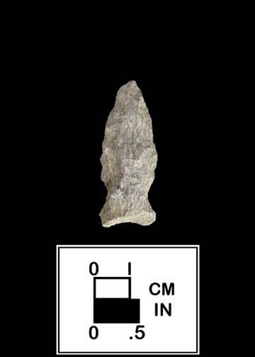 Diagnostic Artifacts in Maryland