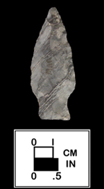 Diagnostic Artifacts in Maryland