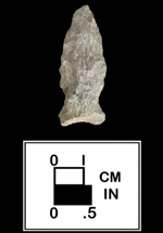 Diagnostic Artifacts in Maryland