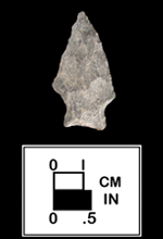 Diagnostic Artifacts in Maryland