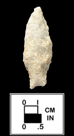 Diagnostic Artifacts in Maryland