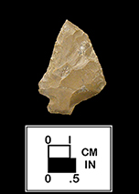 Diagnostic Artifacts in Maryland