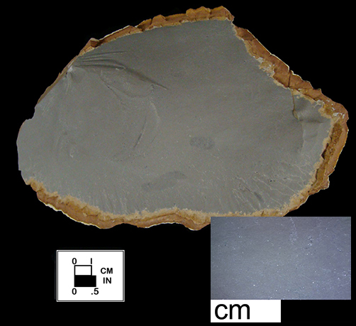 Diagnostic Artifacts in Maryland