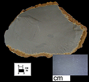 Diagnostic Artifacts in Maryland