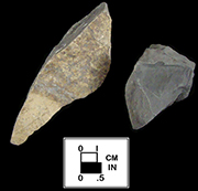 Diagnostic Artifacts in Maryland