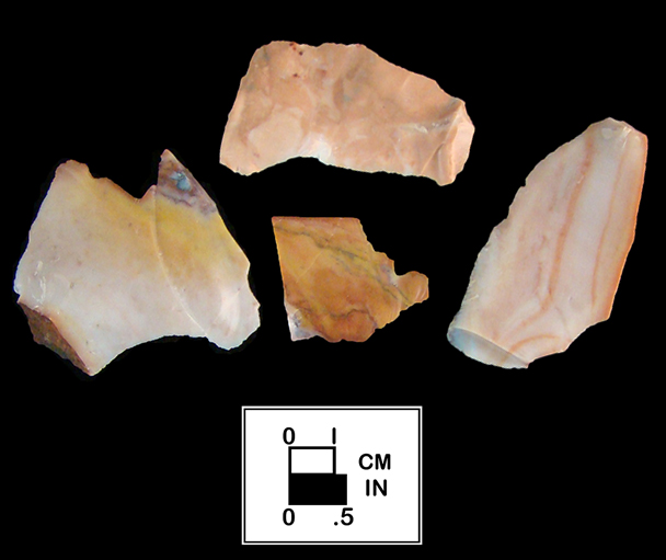 Diagnostic Artifacts in Maryland