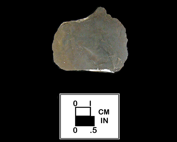 Diagnostic Artifacts in Maryland