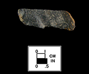 Diagnostic Artifacts in Maryland