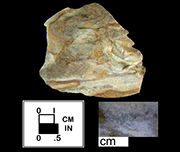 Diagnostic Artifacts in Maryland