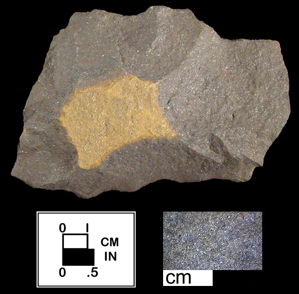 Diagnostic Artifacts in Maryland