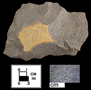 Diagnostic Artifacts in Maryland