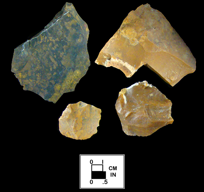 Diagnostic Artifacts in Maryland