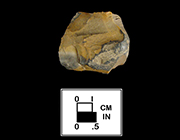 Diagnostic Artifacts in Maryland