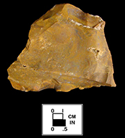 Diagnostic Artifacts in Maryland