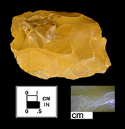 Diagnostic Artifacts in Maryland