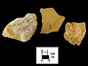 Diagnostic Artifacts in Maryland