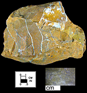 Diagnostic Artifacts in Maryland