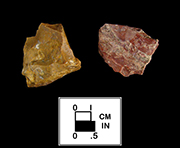 Diagnostic Artifacts in Maryland