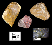 Diagnostic Artifacts in Maryland