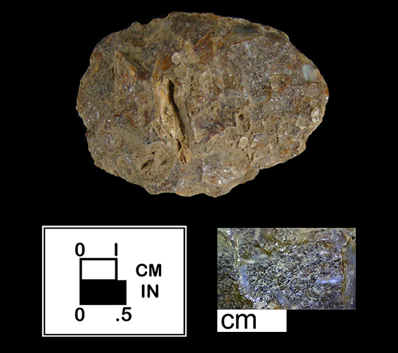 Diagnostic Artifacts in Maryland
