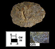 Diagnostic Artifacts in Maryland
