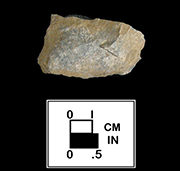 Diagnostic Artifacts in Maryland