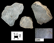 Diagnostic Artifacts in Maryland